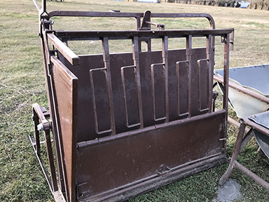 Kelvington Auction Services